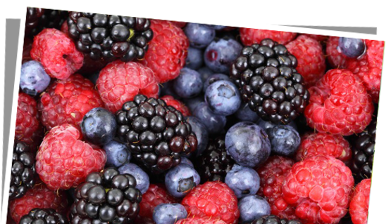 Des petits fruits Ã picorer du bout des doigts - Fleurs & Plantes du lac